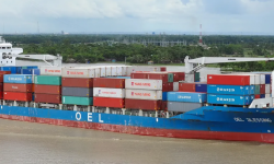 Container Ships For Sale | NautiSNP