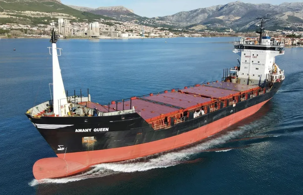AMANY QUEEN | General Cargo/MPP Ships for Sale | NautiSNP