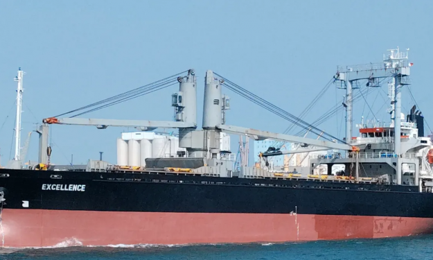 EXCELLENCE | General Cargo/MPP Ships for Sale | NautiSNP